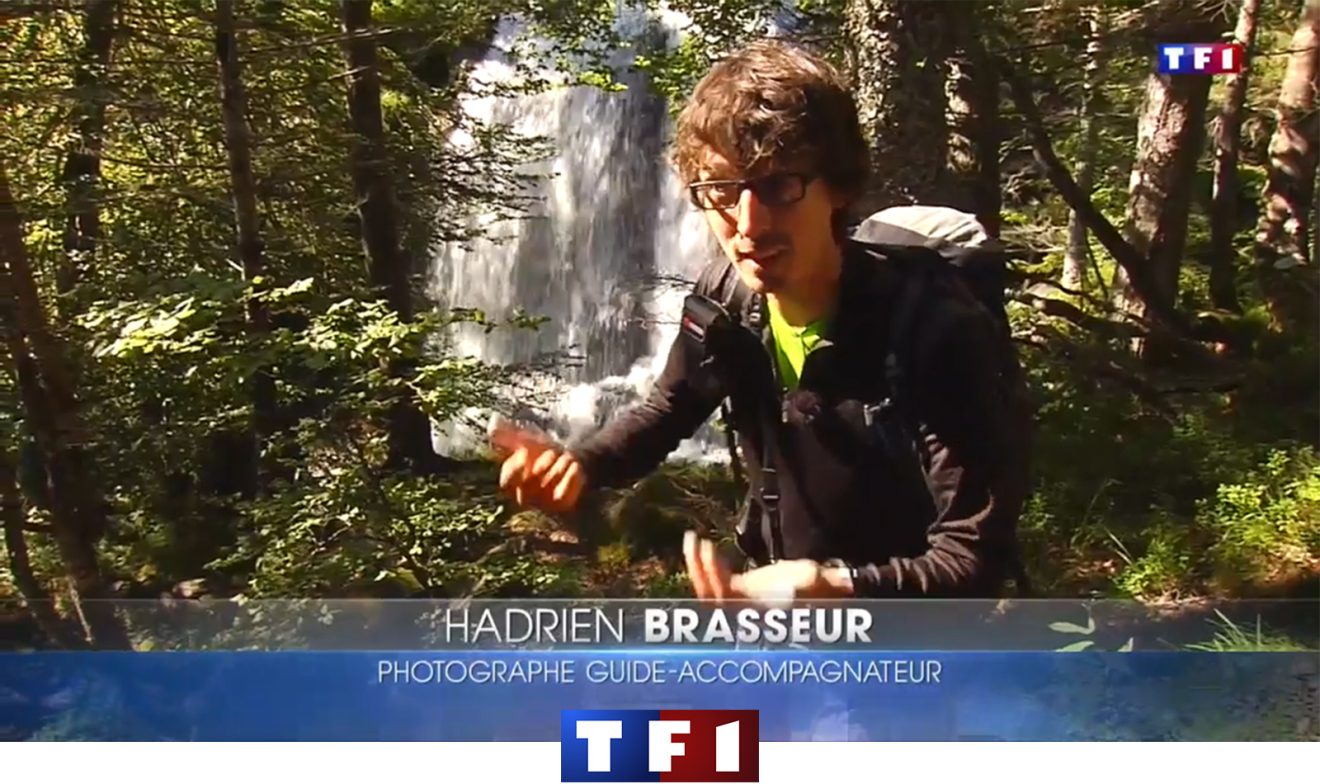 Accueil - Hadrien Brasseur