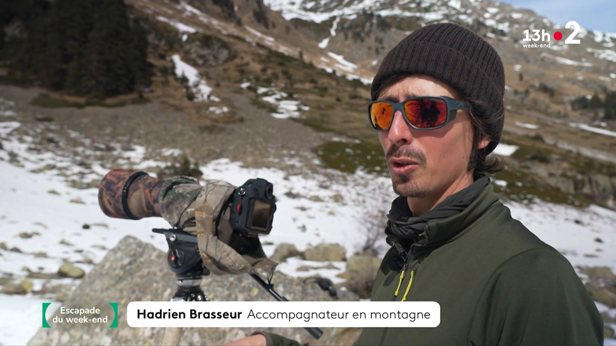 Accueil - Hadrien Brasseur